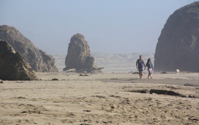 Seaside Beach in Fort Bragg, CA - California Beaches