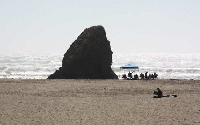 Seaside Beach in Fort Bragg, CA - California Beaches
