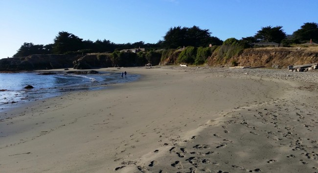 Shell Beach in Sea Ranch, CA - California Beaches