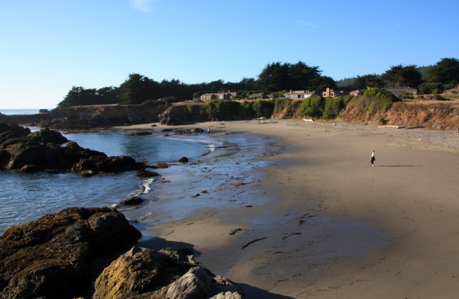Shell Beach in Sea Ranch, CA - California Beaches