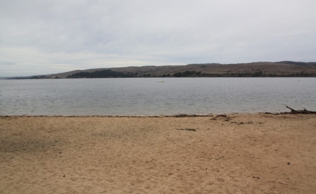Shell Beach at Tomales Bay State Park in Inverness, CA - California Beaches