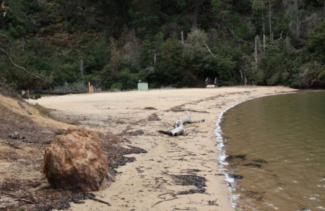 Shell Beach at Tomales Bay State Park in Inverness, CA - California Beaches