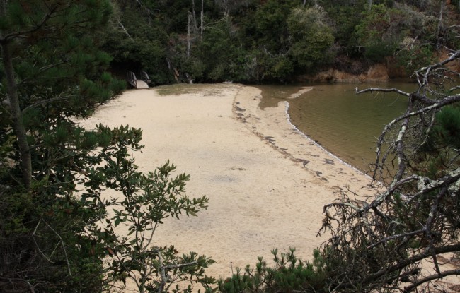 Shell Beach at Tomales Bay State Park in Inverness, CA - California Beaches