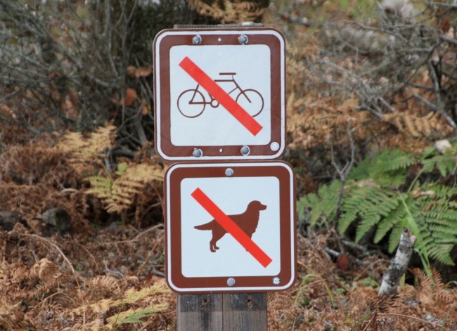 Shell Beach at Tomales Bay State Park in Inverness, CA - California Beaches