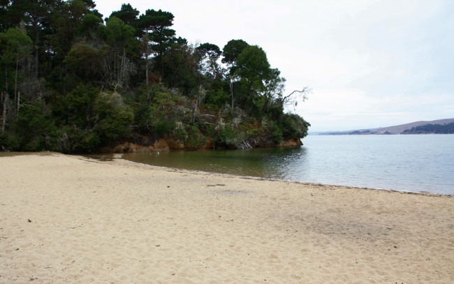 Shell Beach at Tomales Bay State Park in Inverness, CA - California Beaches