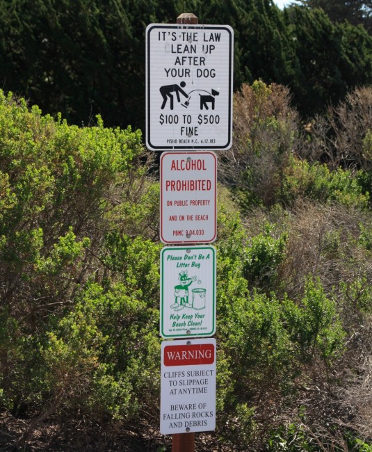 Silver Shoals Park in Pismo Beach, CA - California Beaches