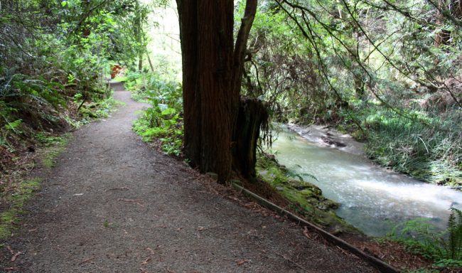 Stillwater Cove Regional Park in Jenner, CA - California Beaches