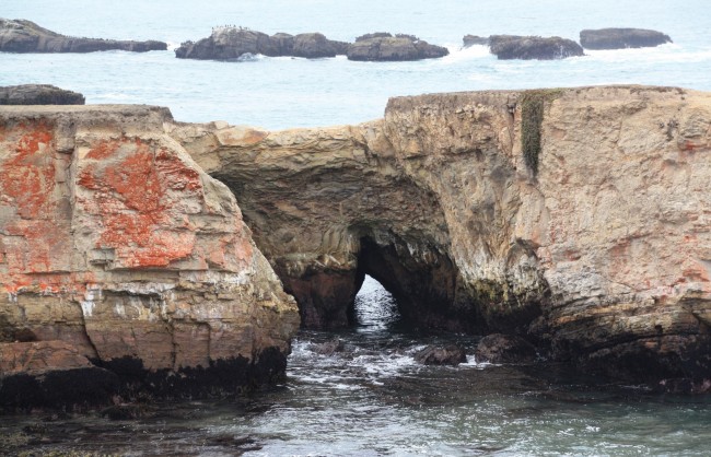 Stornetta Public Lands in Point Arena, CA - California Beaches