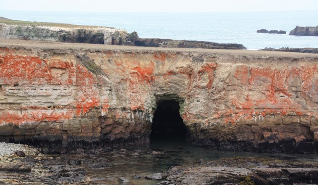 Stornetta Public Lands in Point Arena, CA - California Beaches