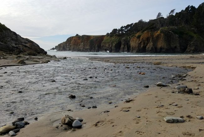 Stump Beach Cove in Jenner, CA - California Beaches