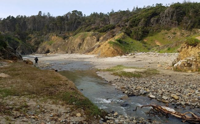 Stump Beach Cove in Jenner, CA - California Beaches