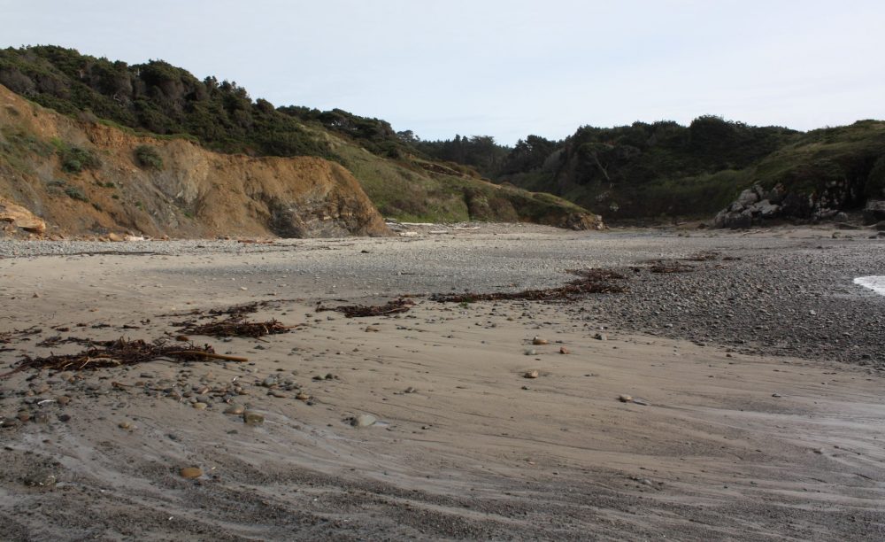 Stump Beach Cove, Jenner, CA - California Beaches