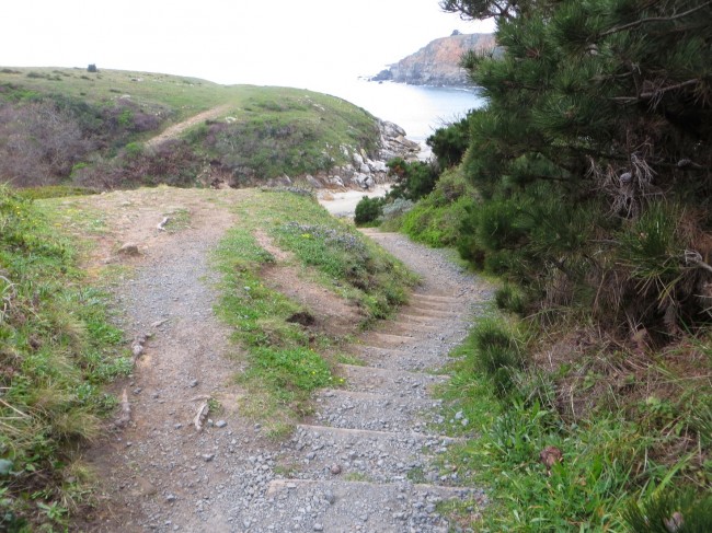 Stump Beach Cove in Jenner, CA - California Beaches