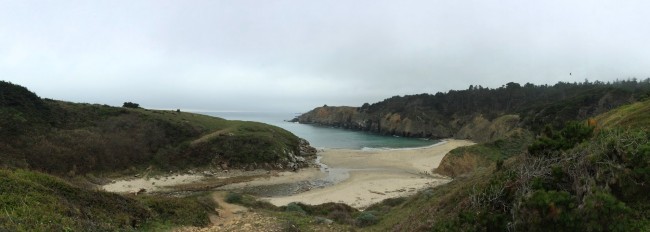 Stump Beach Cove in Jenner, CA - California Beaches