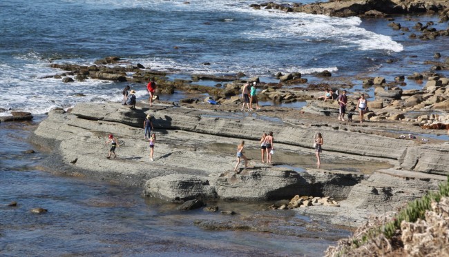 Sunset Cliffs Beach (Garbage Beach) in San Diego, CA - California Beaches