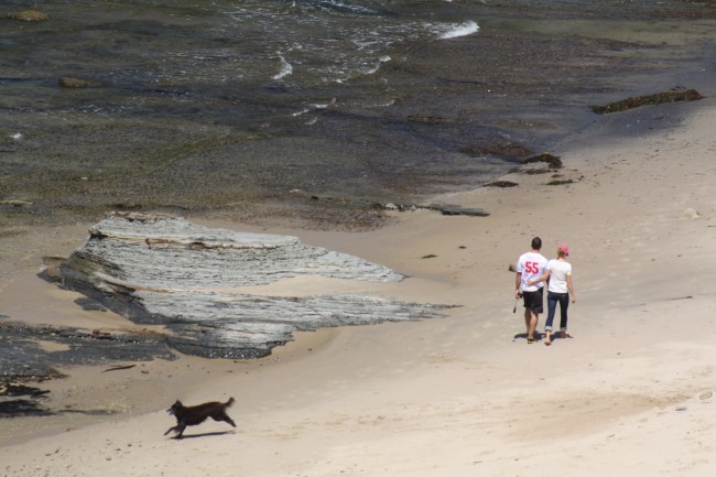 Sunset Cliffs Beach (Garbage Beach) in San Diego, CA - California Beaches