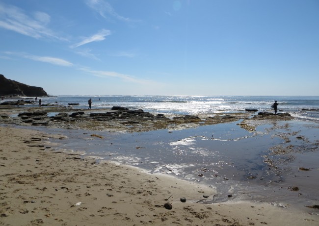 Sunset Cliffs Beach (Garbage Beach) in San Diego, CA - California Beaches