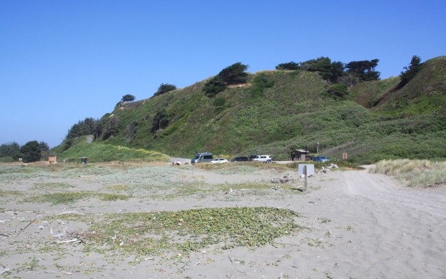 Table Bluff County Park Beach in Loleta, CA - California Beaches