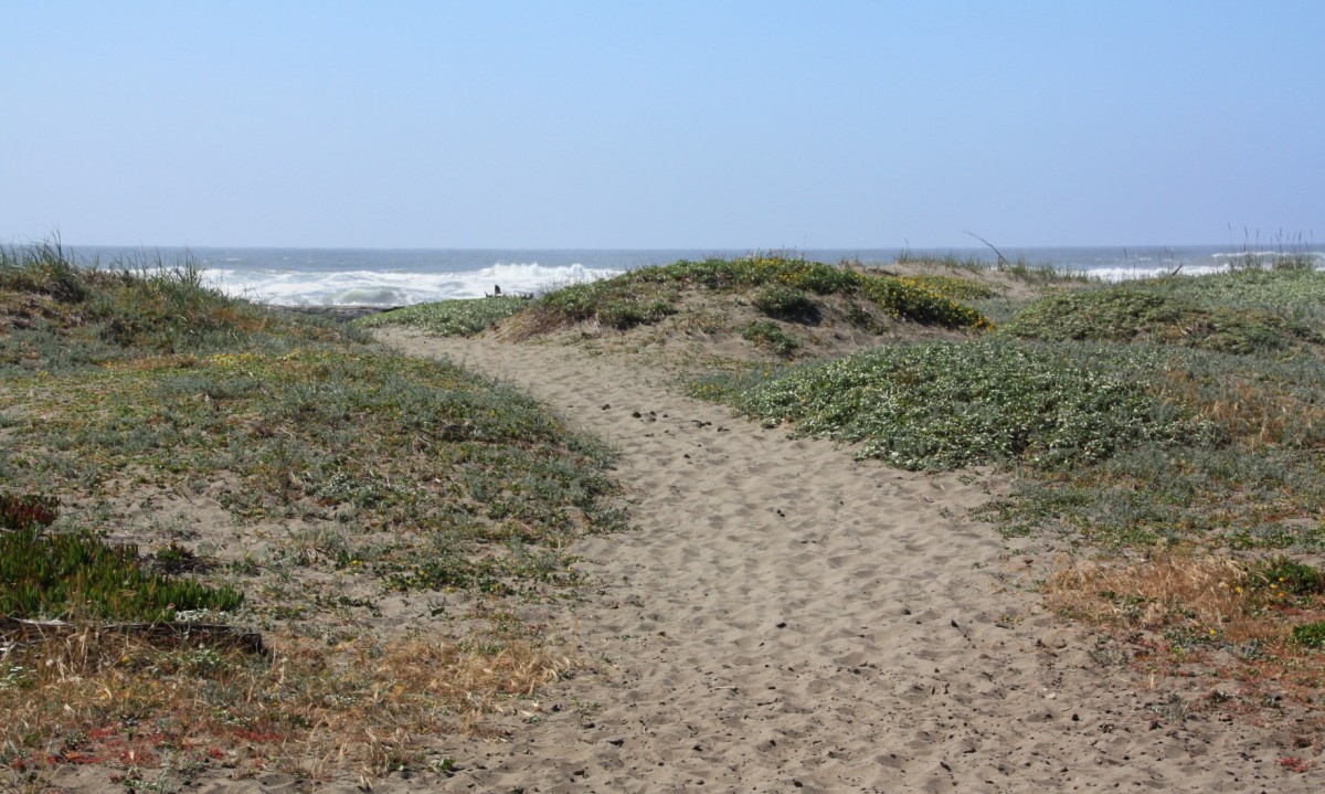 Beaches in Loleta, CA - California Beaches