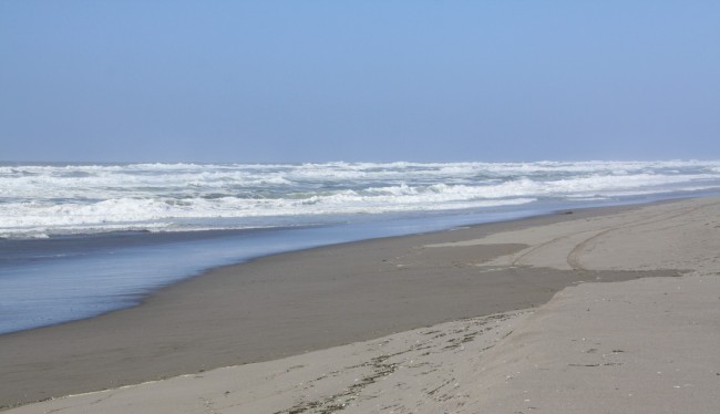 Table Bluff County Park Beach in Loleta, CA - California Beaches