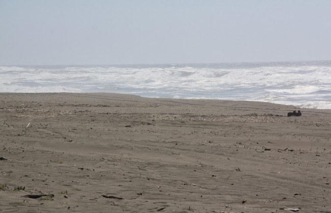 Table Bluff County Park Beach in Loleta, CA - California Beaches