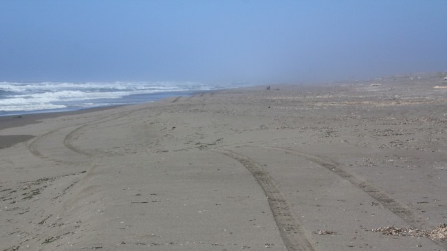 Table Bluff County Park Beach in Loleta, CA - California Beaches