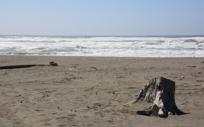 Table Bluff County Park Beach in Loleta, CA - California Beaches
