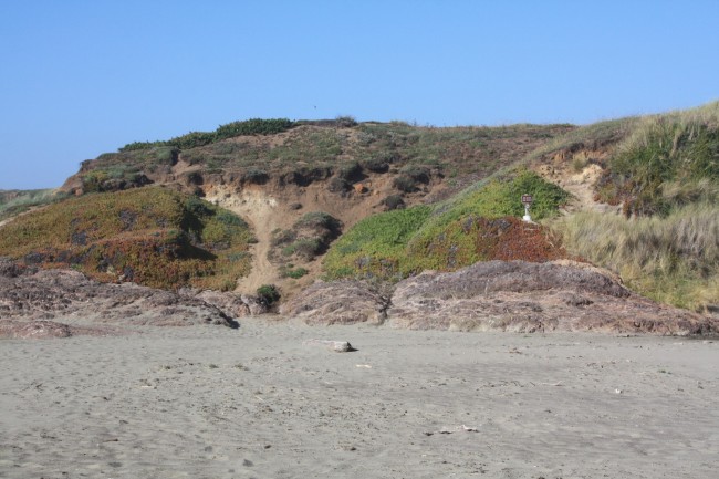 Ten Mile Beach in Fort Bragg, CA - California Beaches