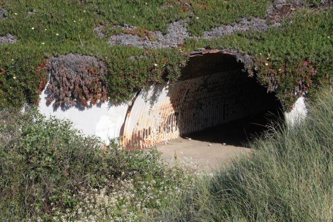 Ten Mile Beach in Fort Bragg, CA - California Beaches