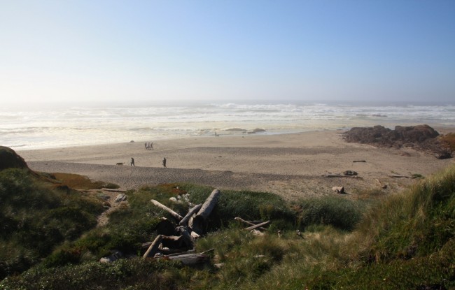 Ten Mile Beach in Fort Bragg, CA - California Beaches