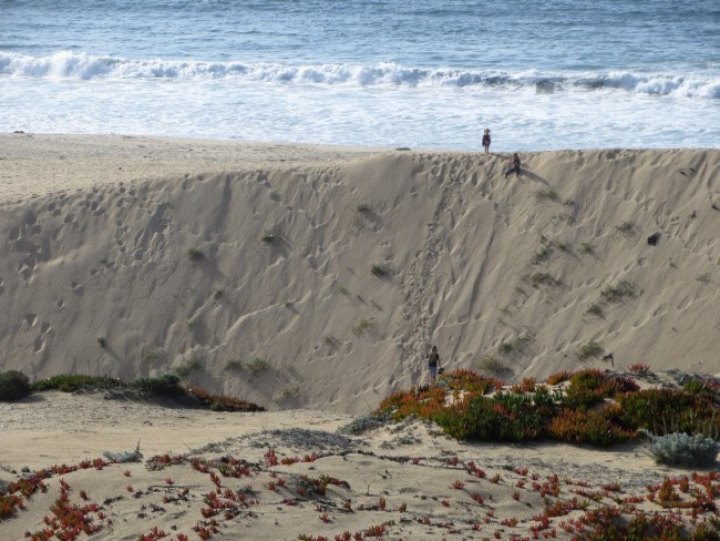 The Crater Beach in Sand City, CA - California Beaches