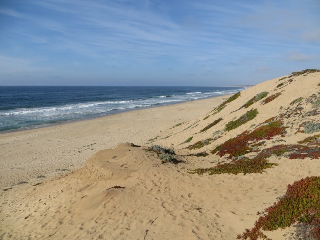 The Crater Beach in Sand City, CA - California Beaches
