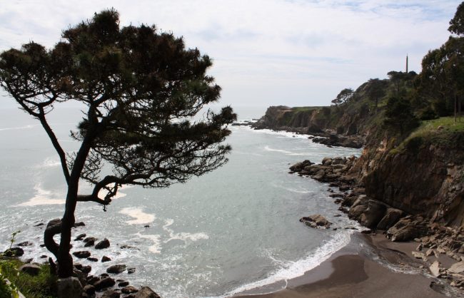 Timber Cove in Jenner, CA - California Beaches