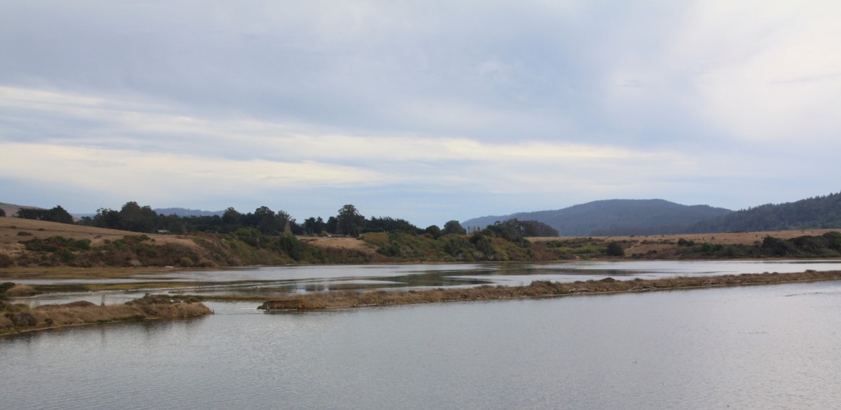 Alan Sieroty Beach at Millerton Point in Marshall, CA - California Beaches