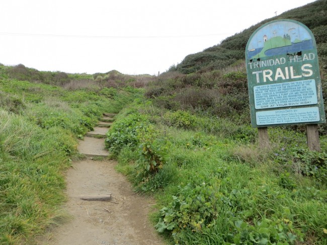 Trinidad State Beach in Trinidad, CA - California Beaches