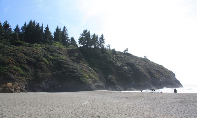 Trinidad State Beach in Trinidad, CA - California Beaches
