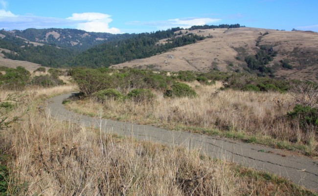 Vista Point in Jenner, CA - California Beaches