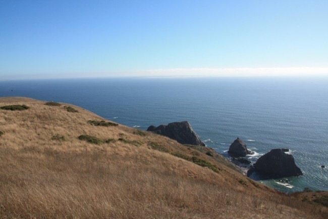 Vista Point in Jenner, CA - California Beaches