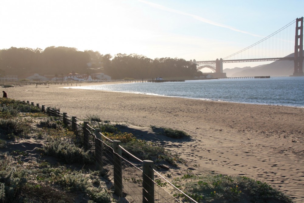 Crissy Field - West Bluff Beach in San Francisco, CA - California Beaches