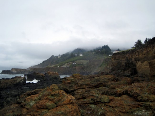 Abalone Point in Whitethorn, CA - California Beaches