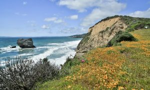 Beaches in Olema, CA - California Beaches