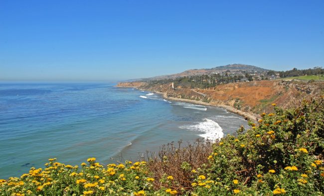 Point Fermin Park Beach in Los Angeles, CA - California Beaches