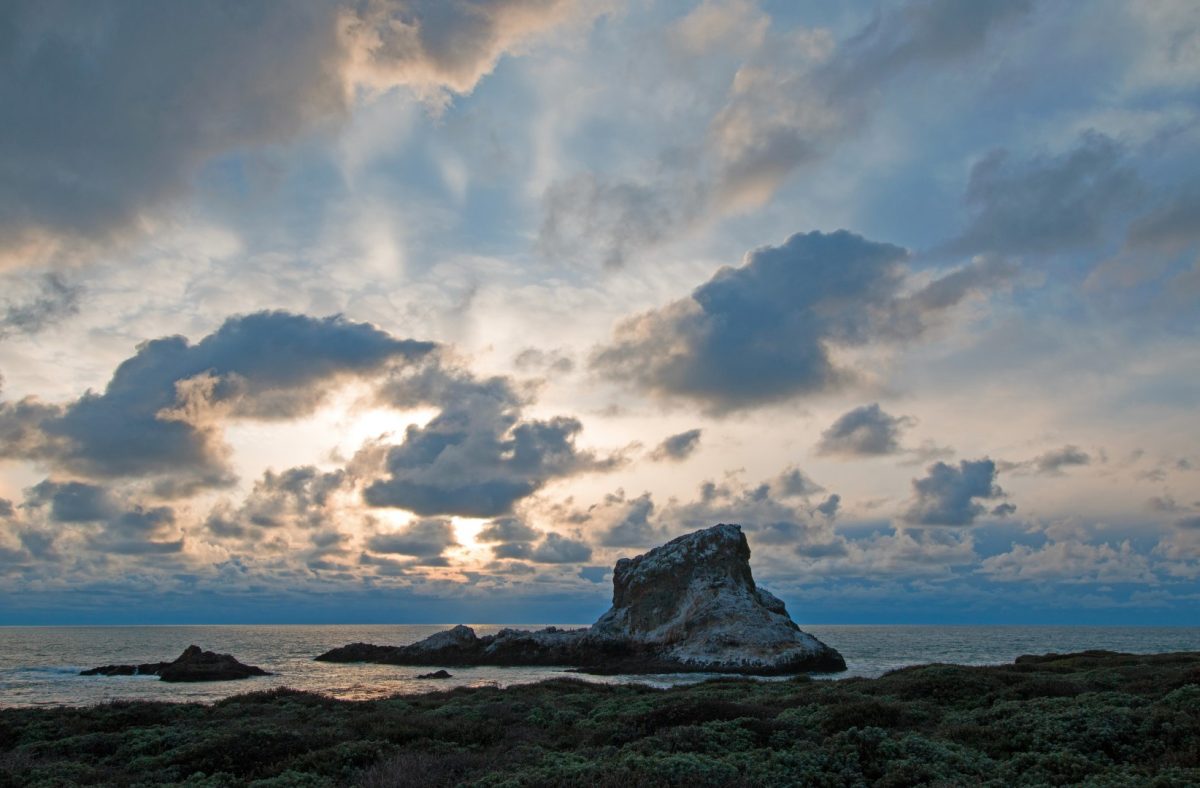 Bonny Doon Beach in Santa Cruz, CA - California Beaches