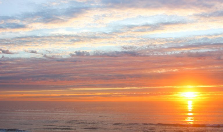 Gilroy Gardens, Gilroy, CA - California Beaches