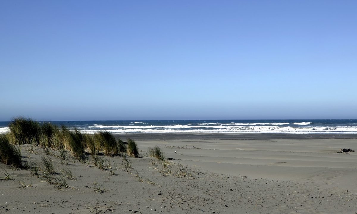 Clam Beach County Park in McKinleyville, CA - California Beaches