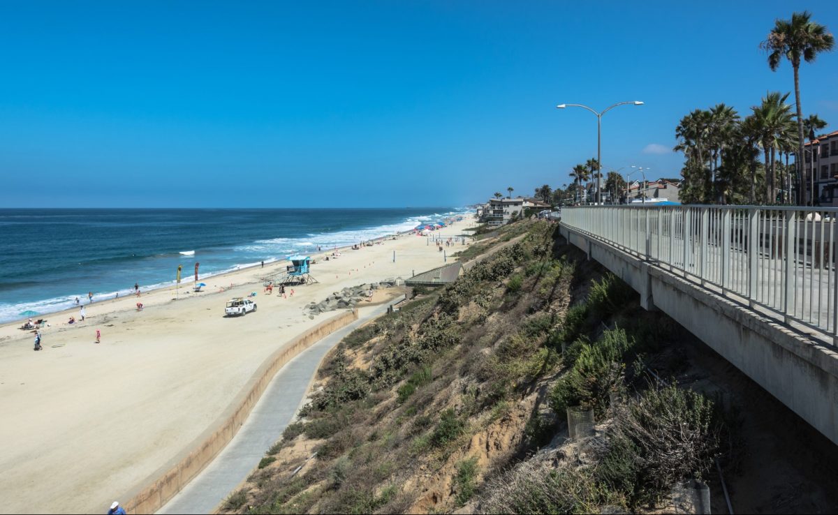 Best Beaches in Carlsbad CA - California Beaches