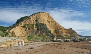 Secret Beach of Point Reyes in Point Reyes Station, CA - California Beaches