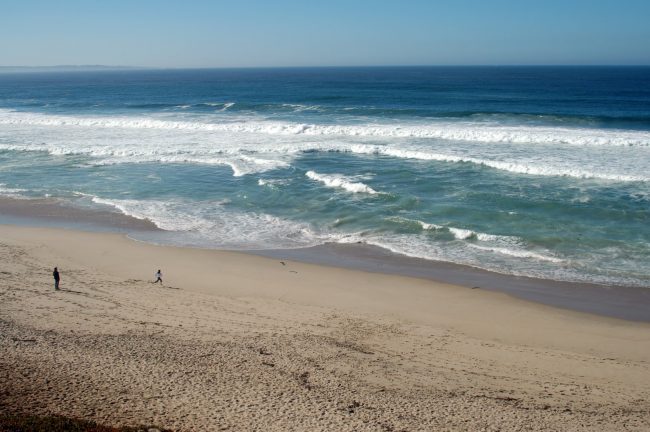 Marina State Beach in Marina, CA - California Beaches