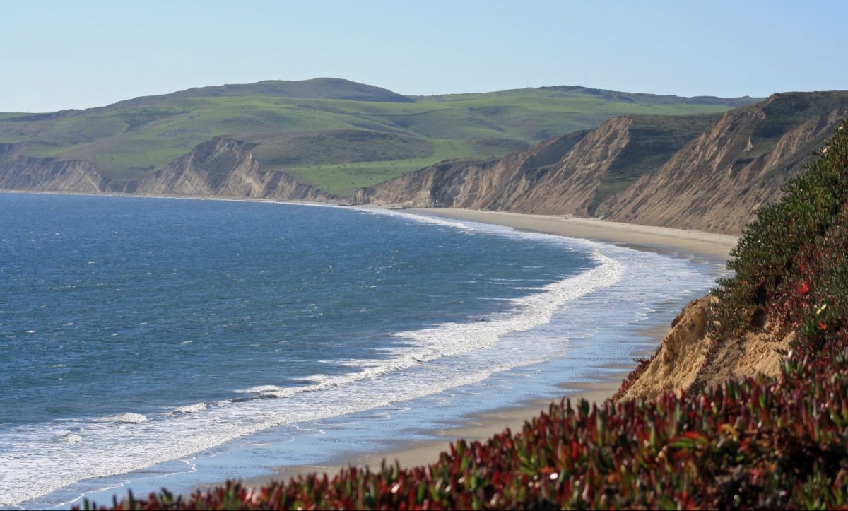 Best Beaches in Point Reyes National Seashore