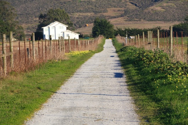 Cowell Ranch Beach in Half Moon Bay, CA - California Beaches